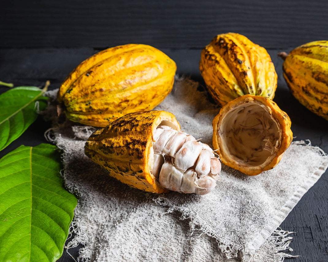 Fale Koko - Authentic Koko Samoa - Taste the Tradition